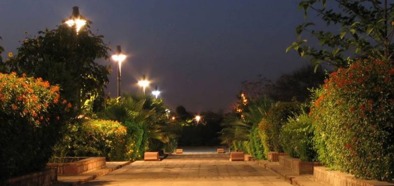 7 Ways to Ensure You Create a Safe Landscape