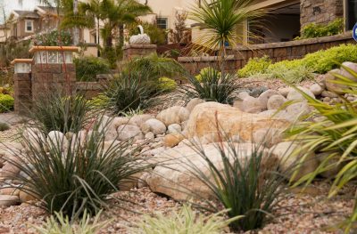 Xeriscaping | Design Ideas & Plant Options | Xeriscape Australia